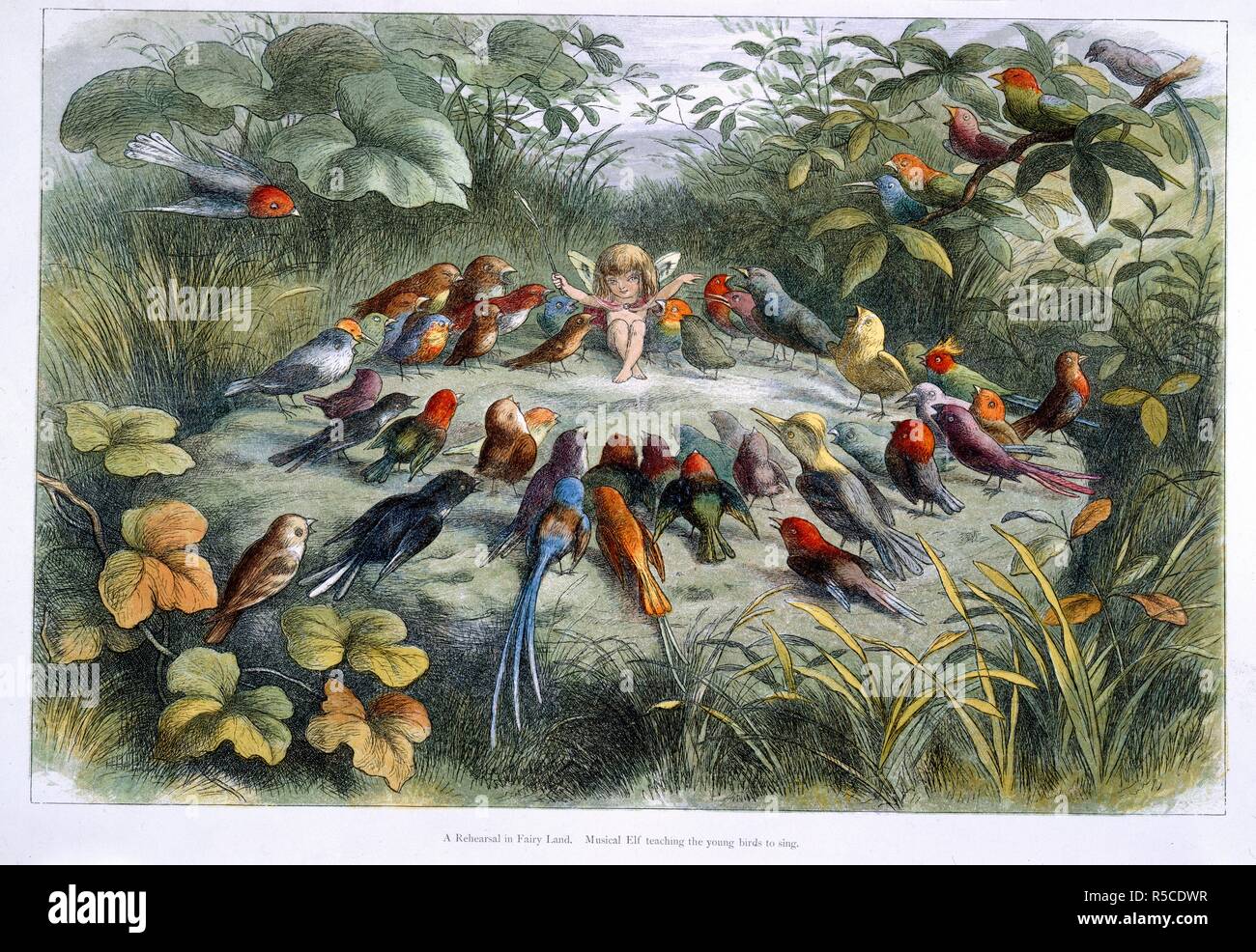 An elf and birds. In Fairy Land A series of pictures from the elf-world ...