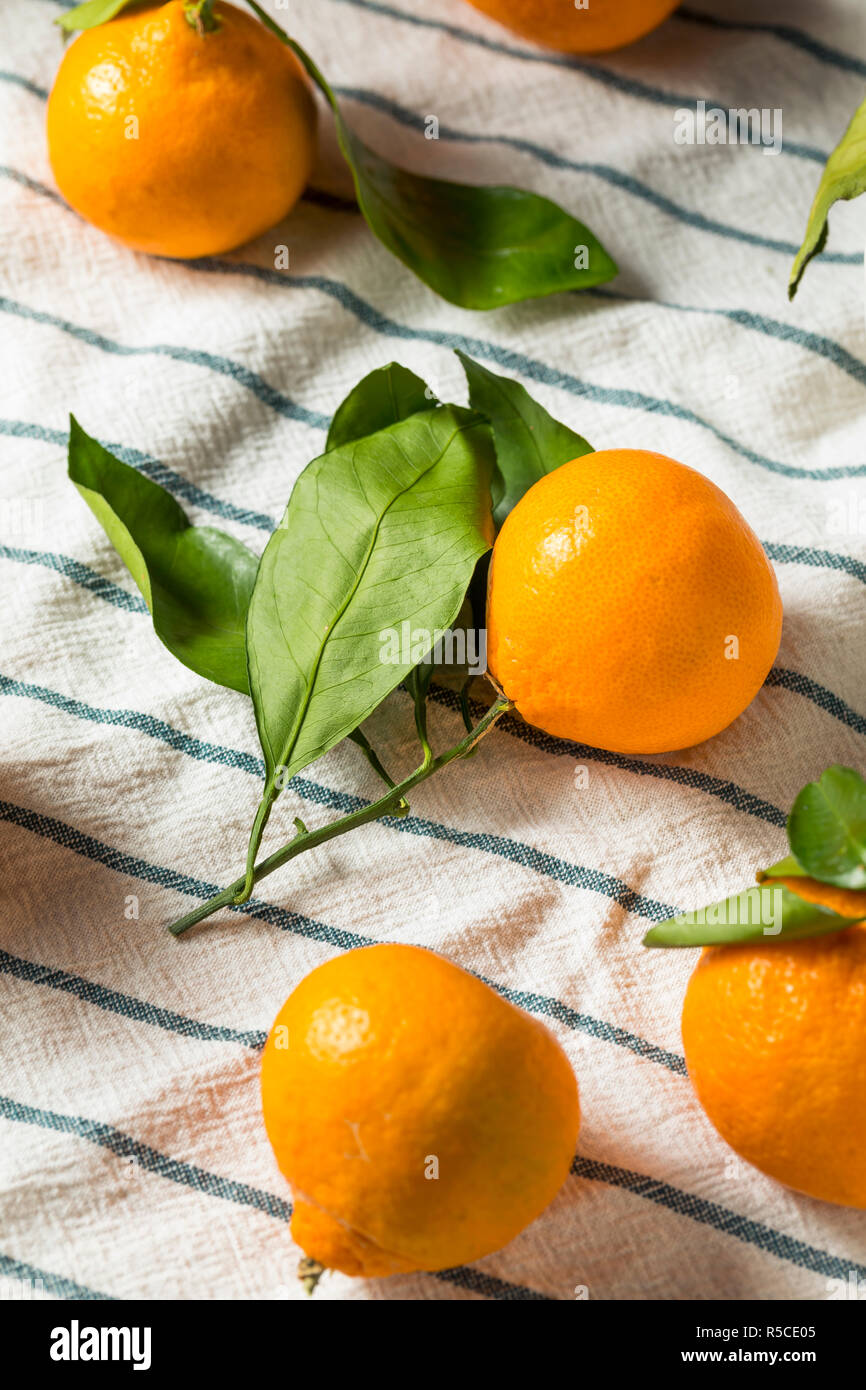 Raw Organic Mandarin Oranges with Green Leaves Stock Photo - Alamy