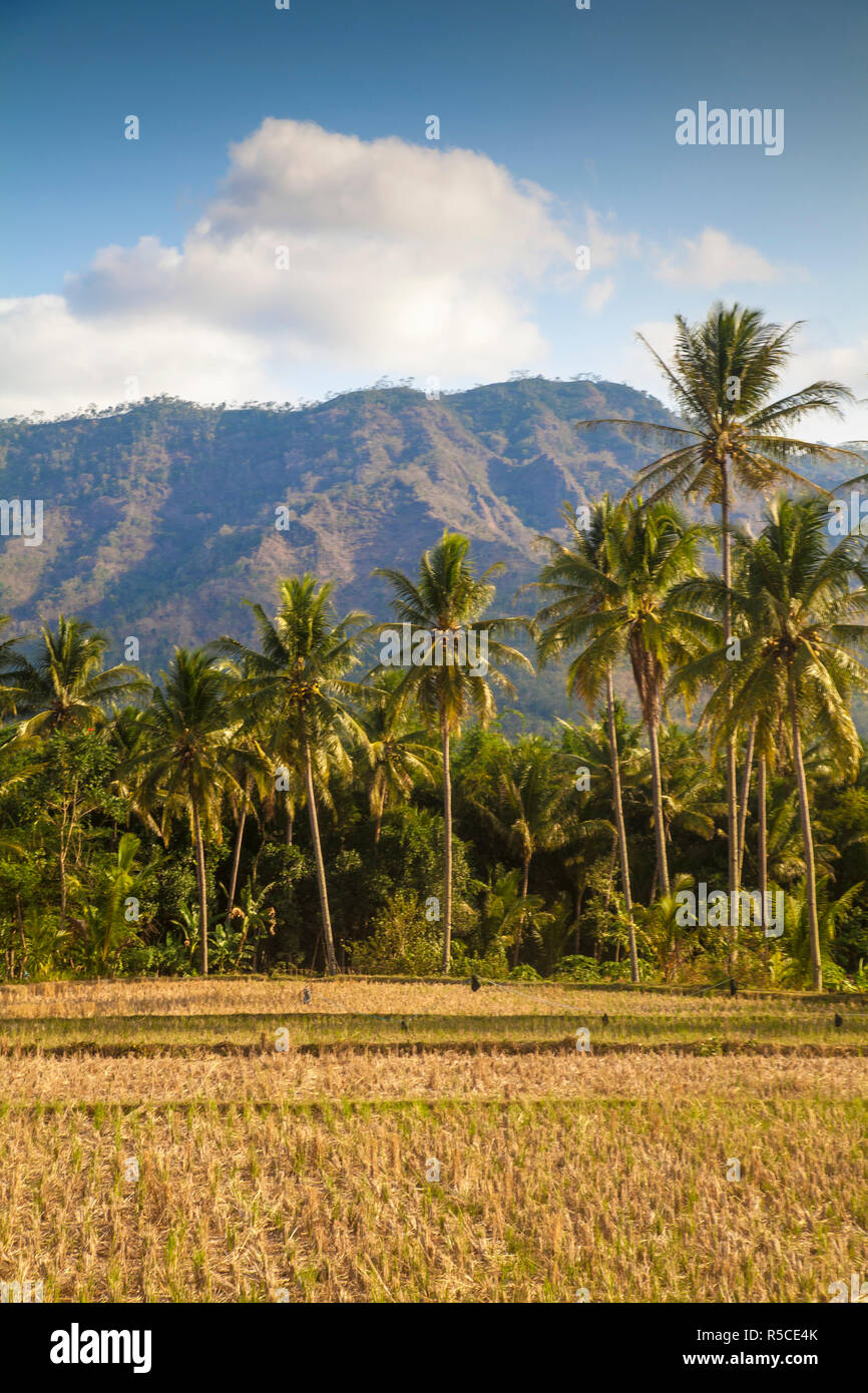 Java scenery hi-res stock photography and images - Alamy