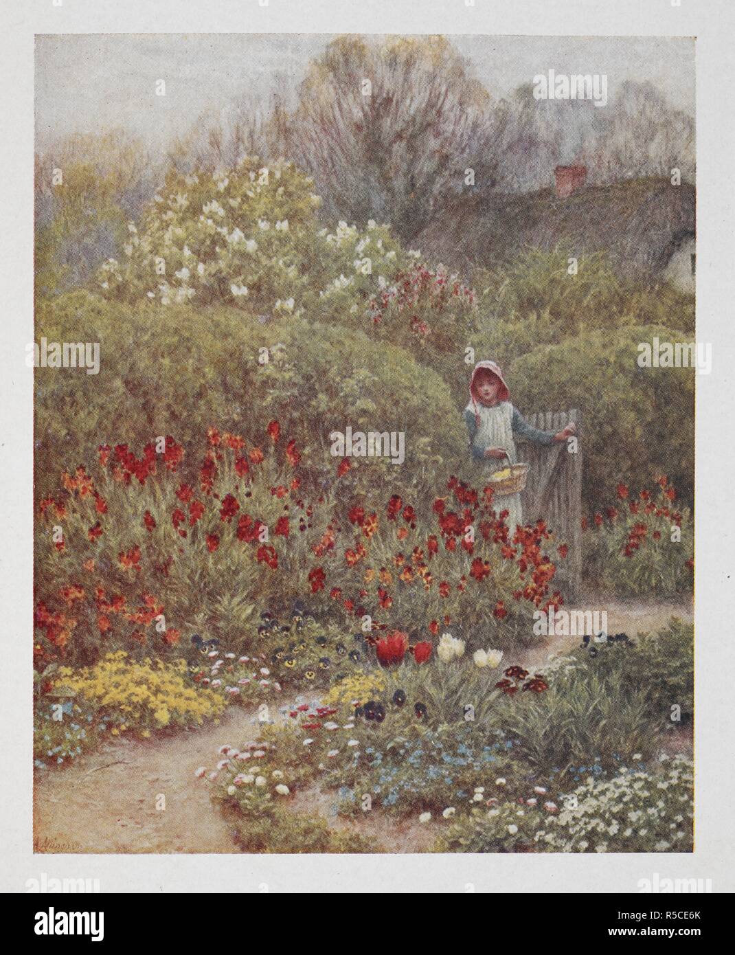 Huish park hi-res stock photography and images - Alamy