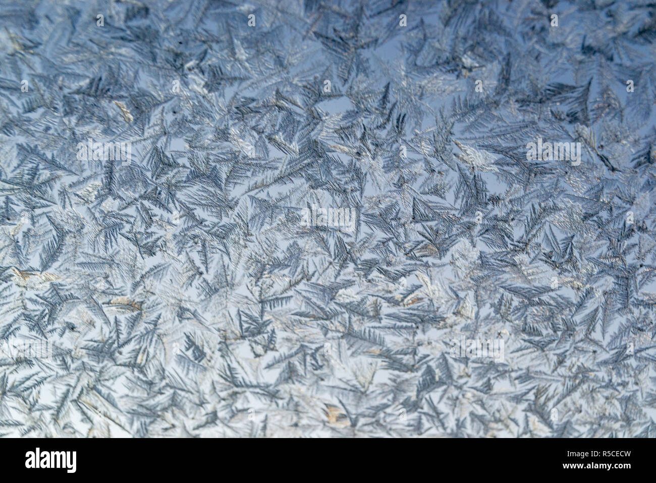 pattern on frozen window Stock Photo - Alamy