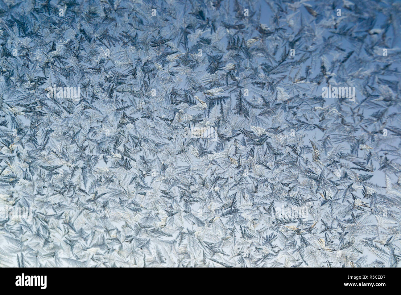 pattern on frozen window Stock Photo - Alamy