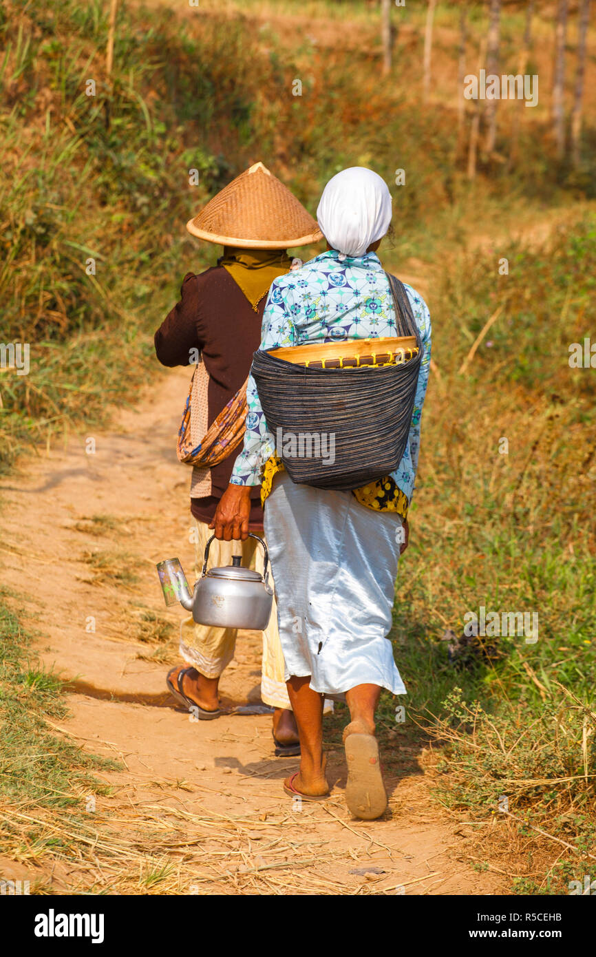 Indonesia, Java, Magelang, near Borobudur, Farm workers walk along road ...