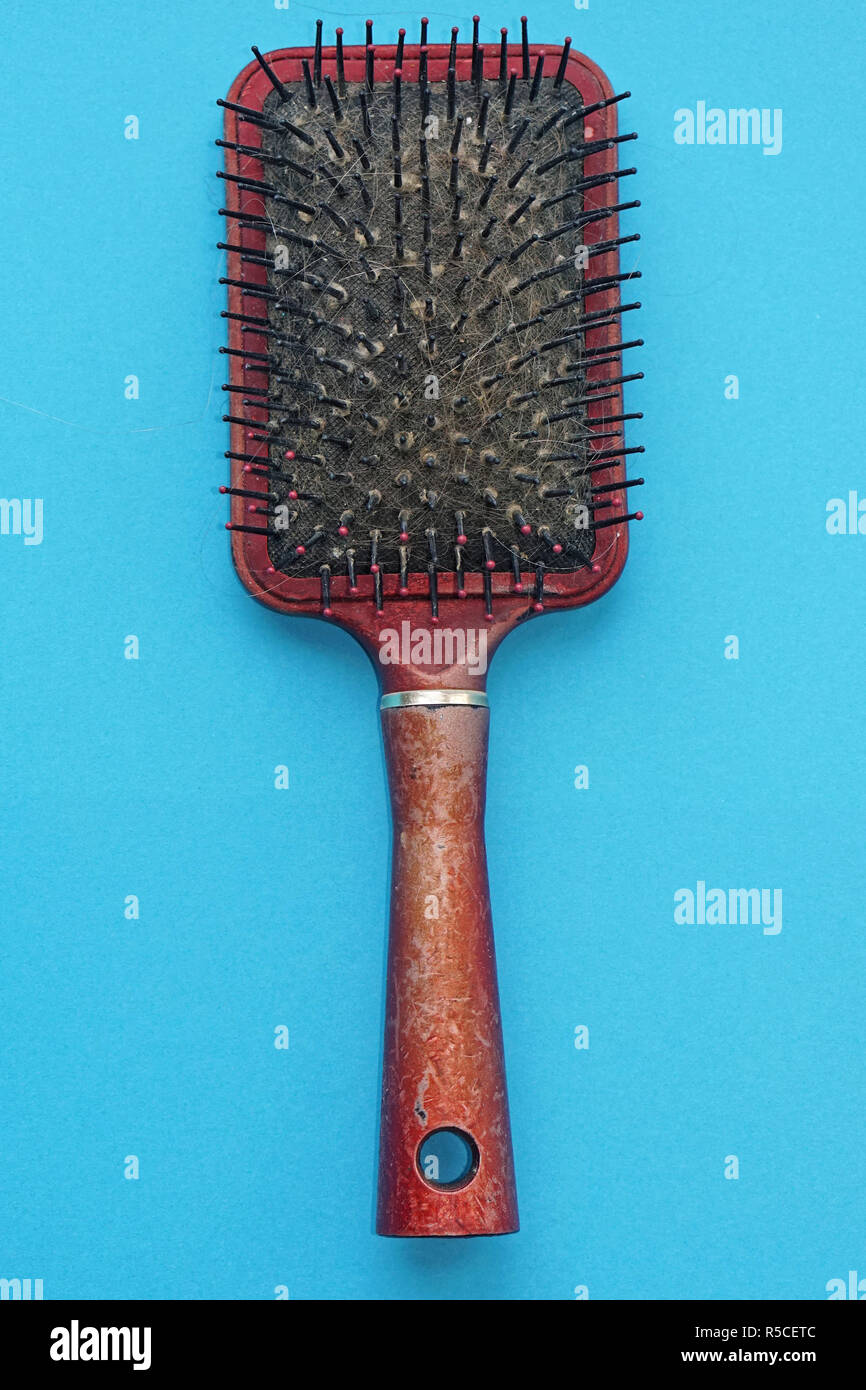 One old used hairbrush with lot of hair Stock Photo - Alamy