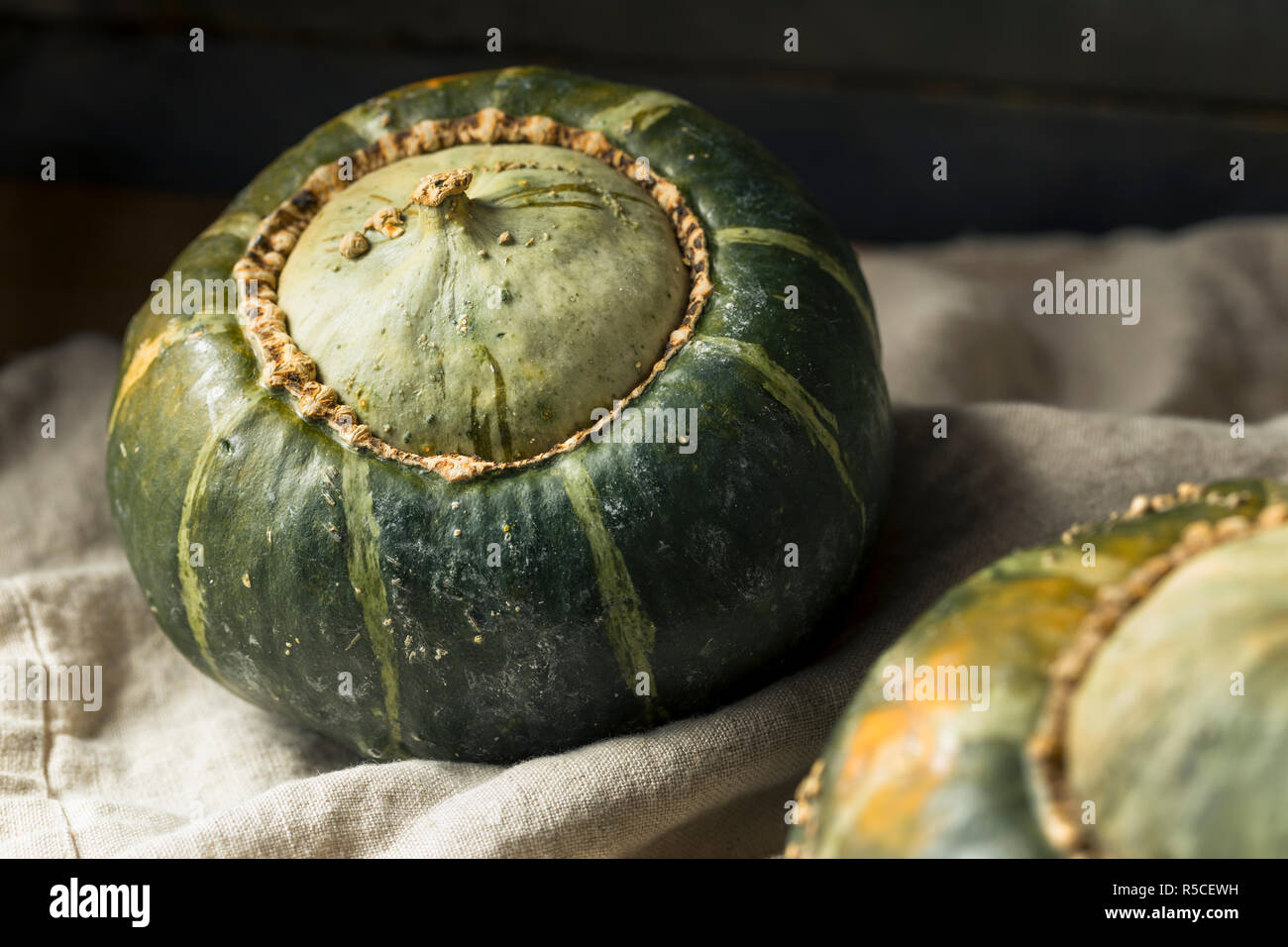Raw Organic Buttercup Squash Ready to Cut Stock Photo - Alamy