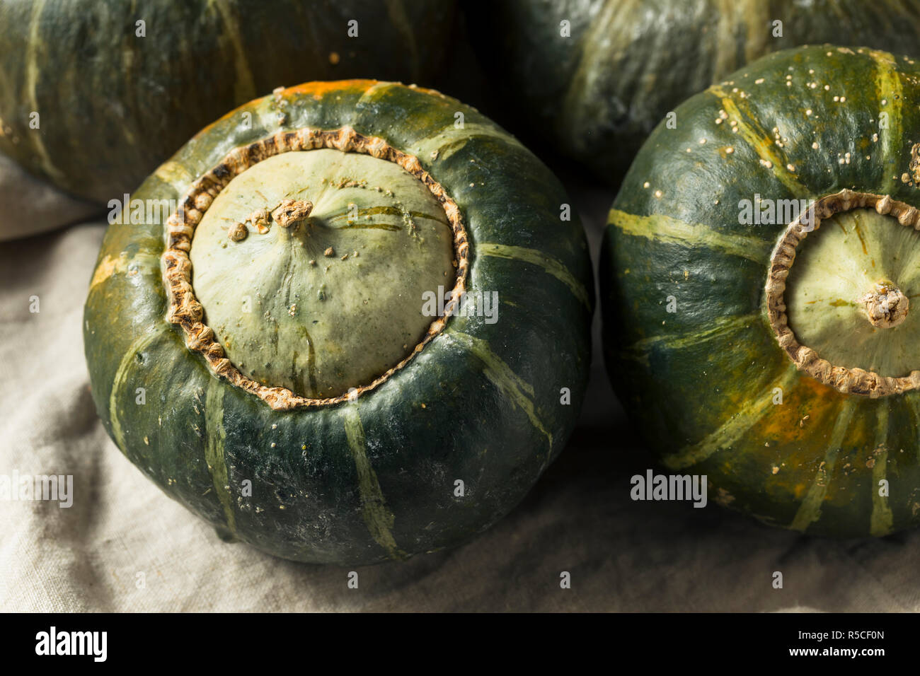 Raw Organic Buttercup Squash Ready to Cut Stock Photo - Alamy
