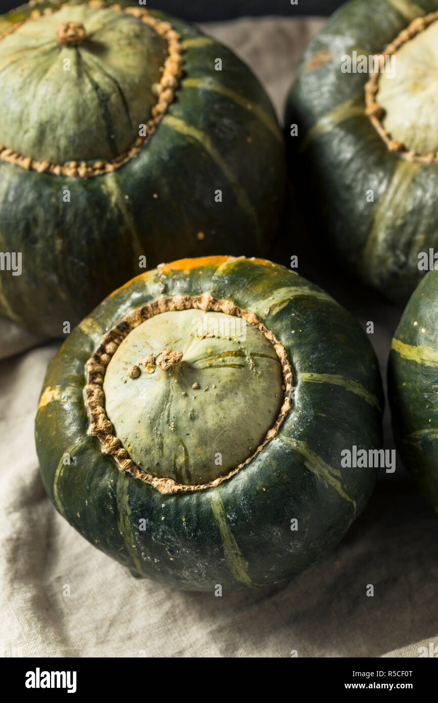Raw Organic Buttercup Squash Ready to Cut Stock Photo - Alamy