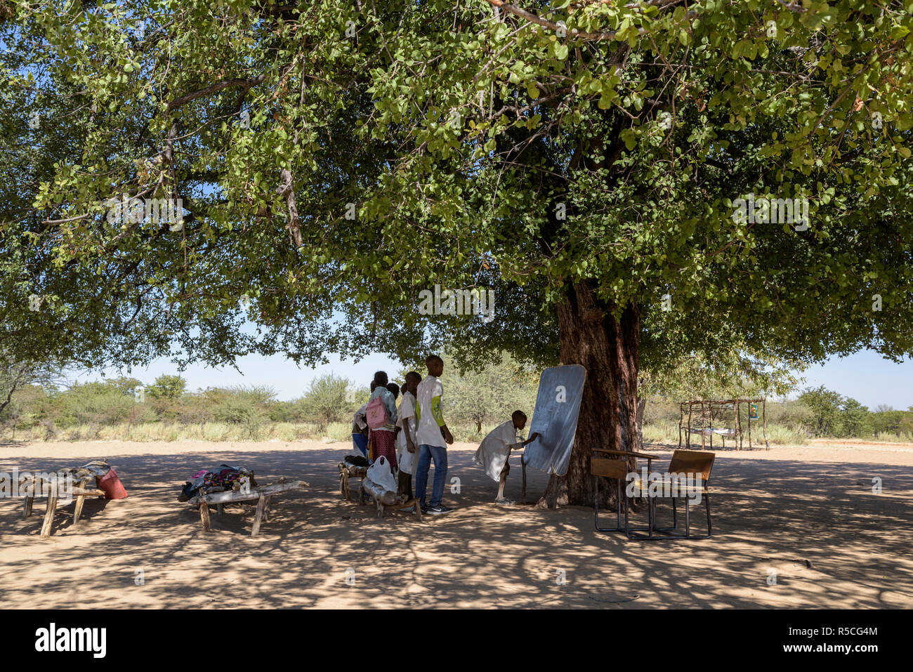 Group of children studying under a tree in a rural school Stock Photo ...