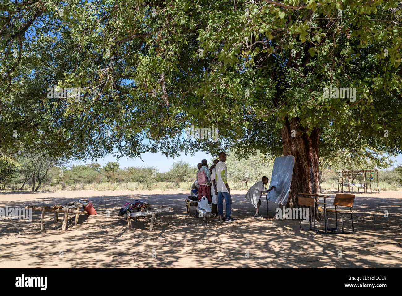 Group of children studying under a tree in a rural school Stock Photo ...