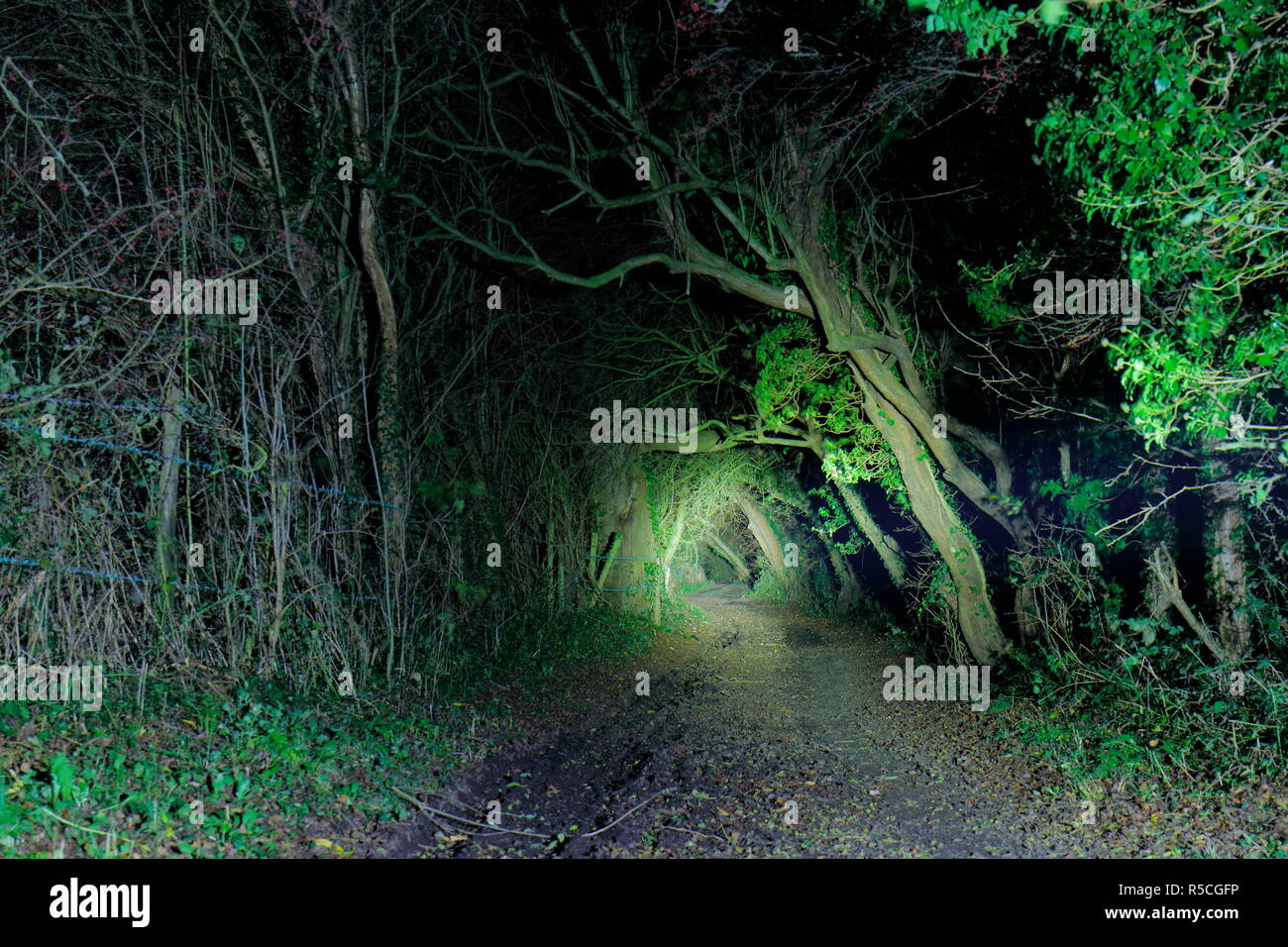 Scary footpath hi-res stock photography and images - Alamy