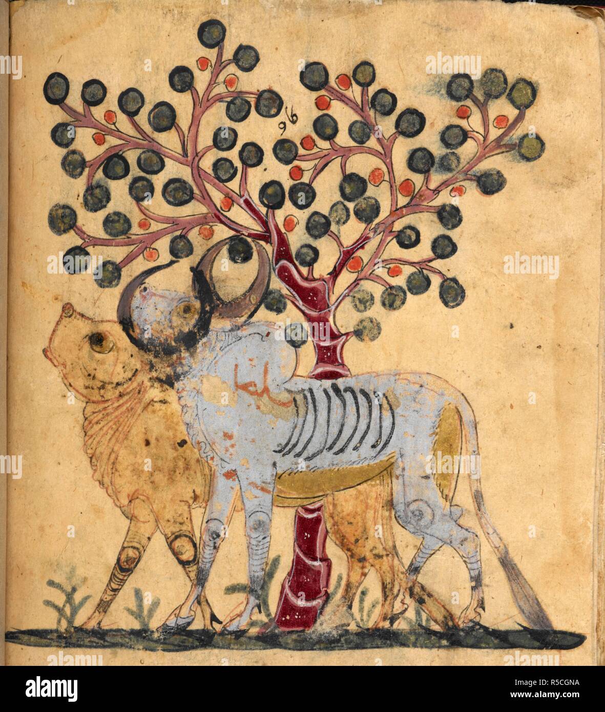 Kitab na't al hayawan hi-res stock photography and images - Alamy