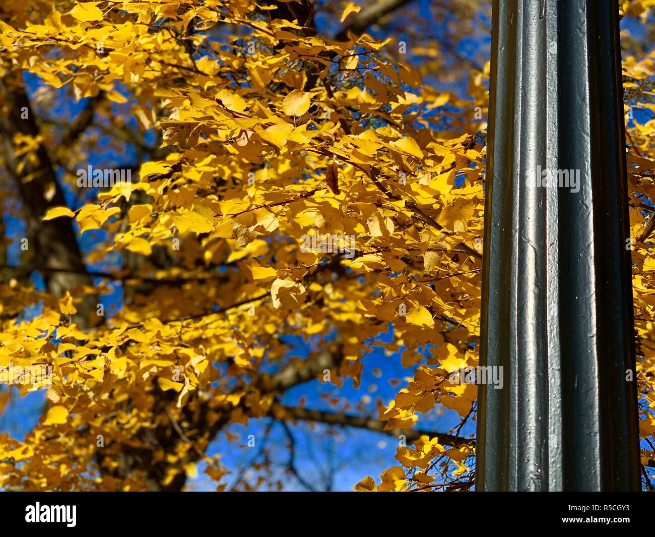 Yellow pole hi-res stock photography and images - Alamy