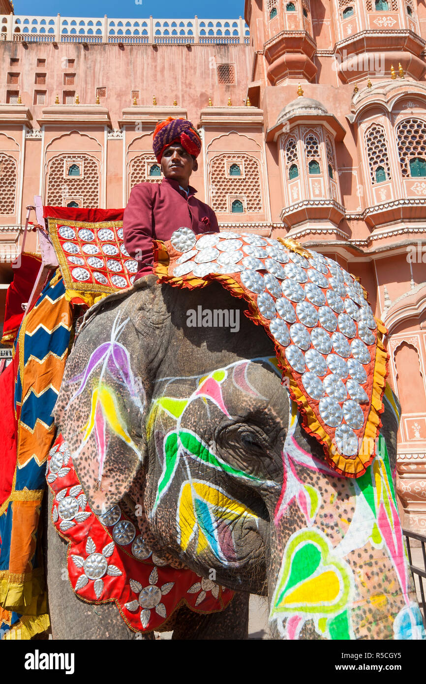India, Rajasthan, Jaipur, Ceremonial decorated Elephant outside the ...