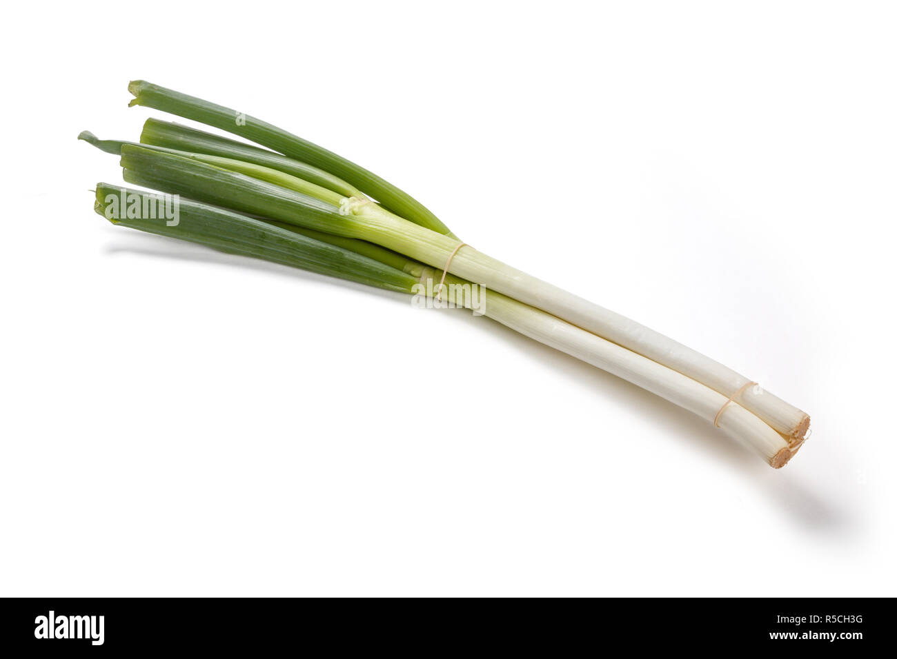 Leek and onion Cut Out Stock Images & Pictures - Alamy
