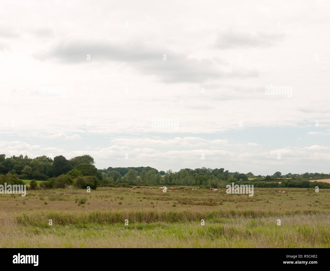 Stock Photo - inland country scene in harwich felixstowe essex uk ...