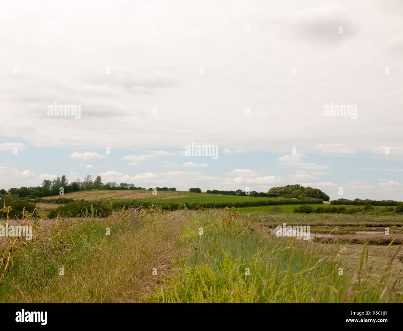 Stock Photo - inland country scene in harwich felixstowe essex uk ...