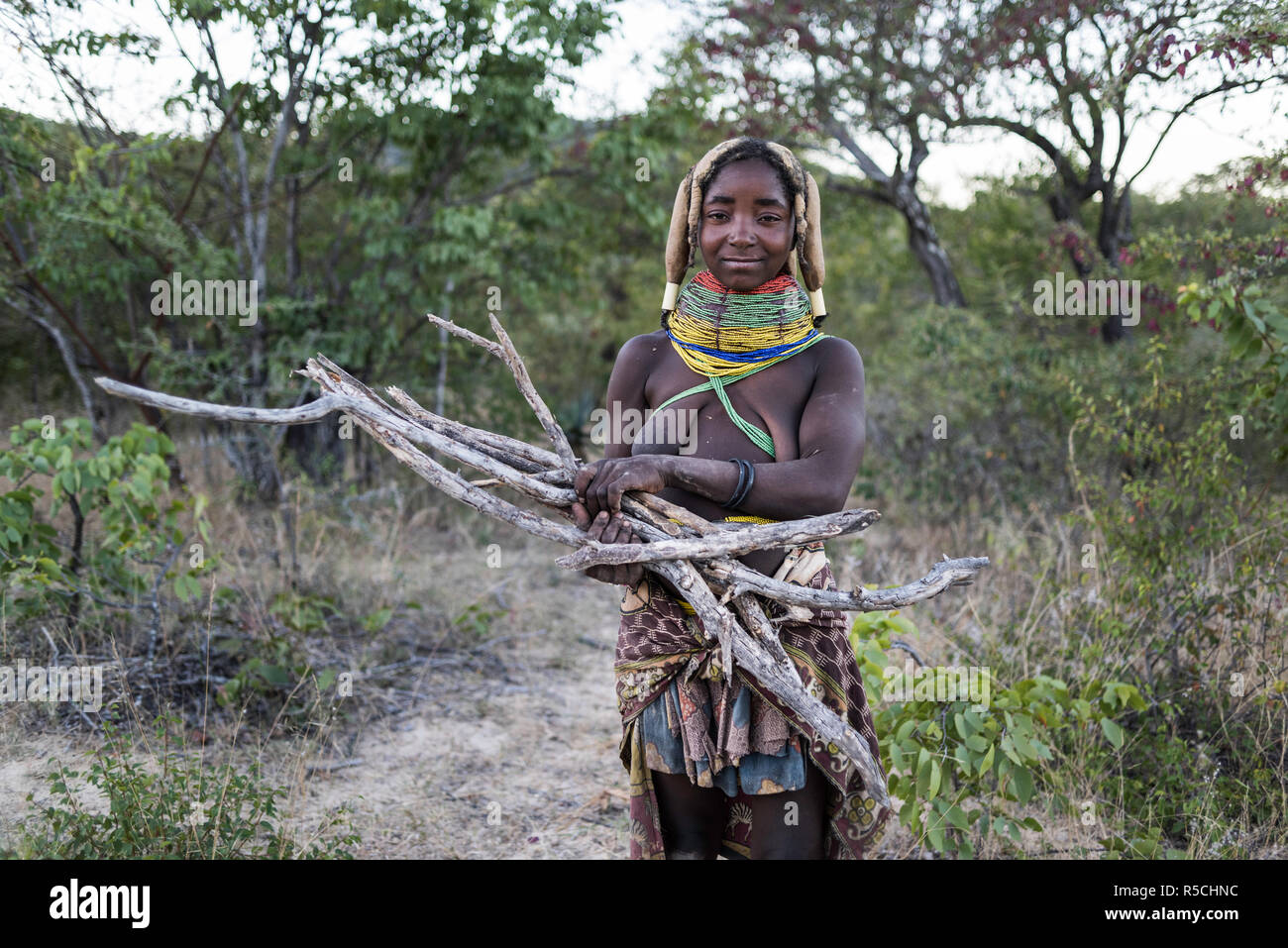 Muila woman with traditional ornaments and hairdo collecting firewood ...