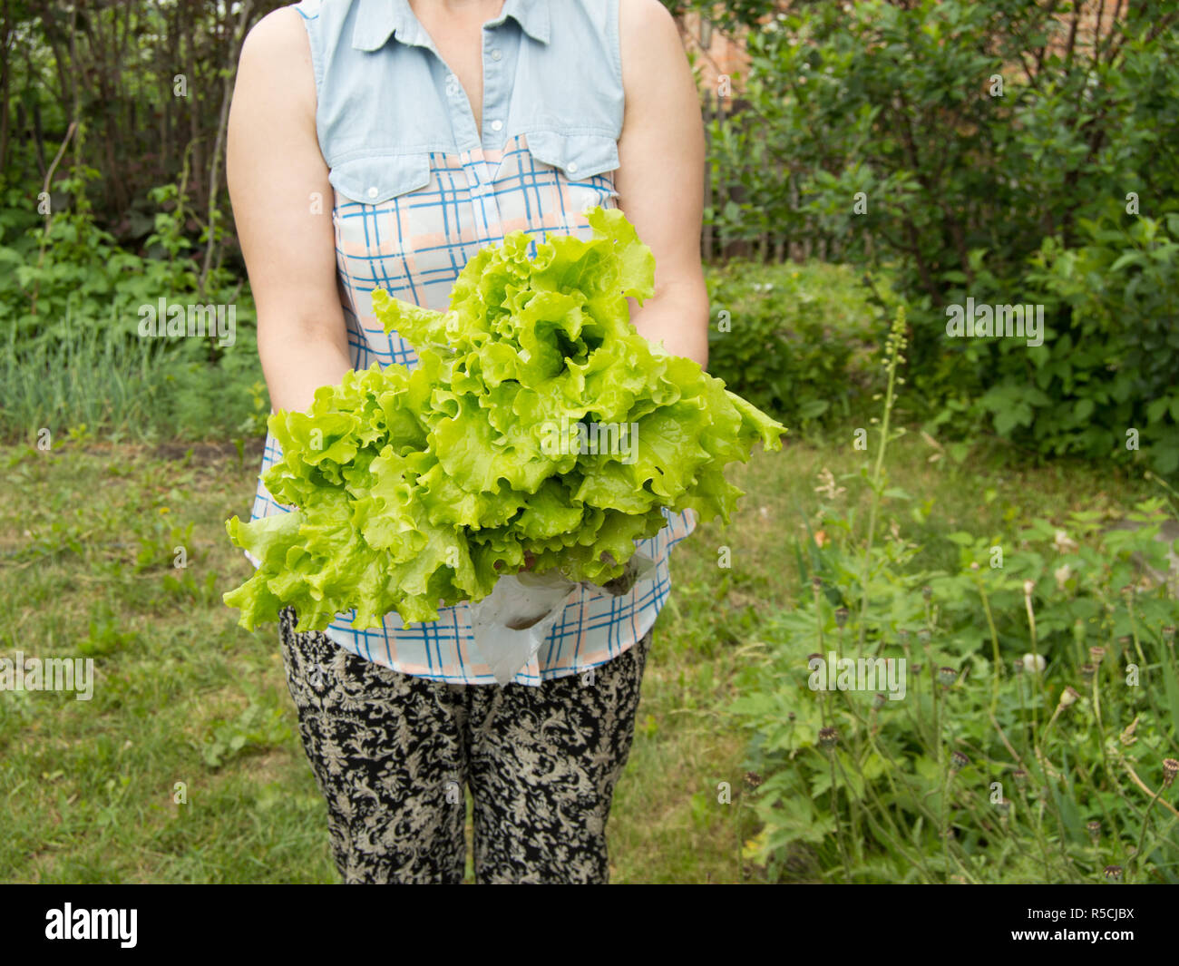 Woman skipping in garden hi-res stock photography and images - Alamy