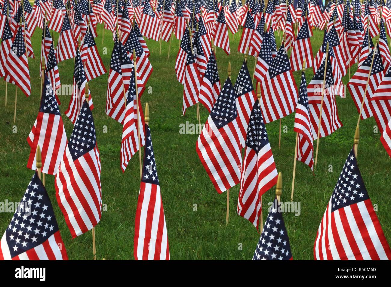 Field of us flags hi-res stock photography and images - Alamy