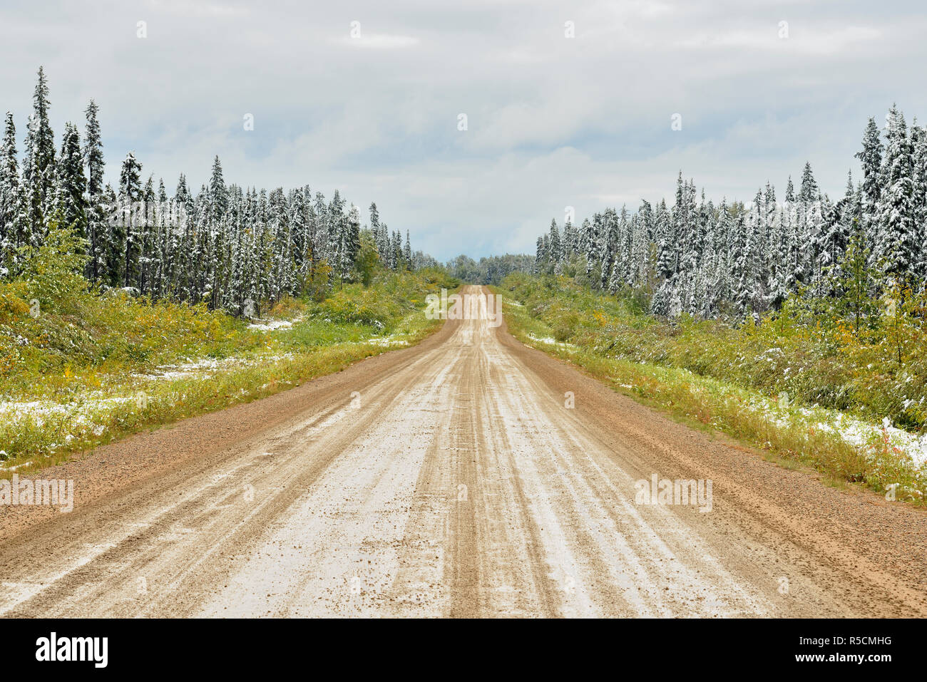 The Liard Trail after autumn precipitation, Liard Trail, Northwest ...