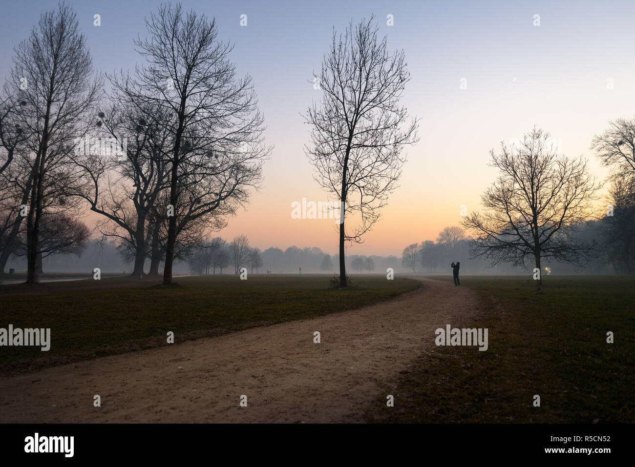 Trees in the evening twilight Stock Photo - Alamy