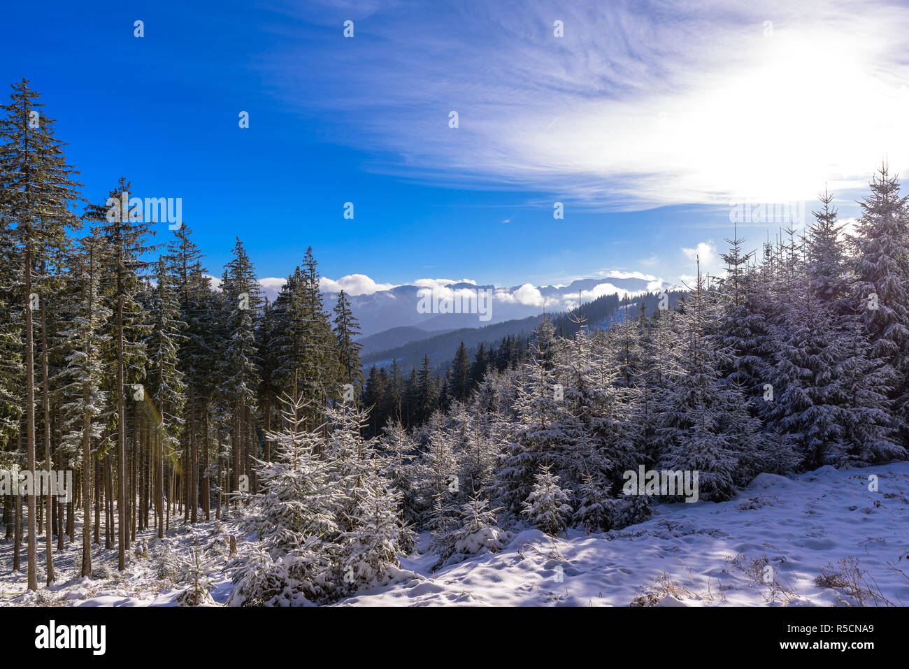 bavaria snow landscape Stock Photo - Alamy
