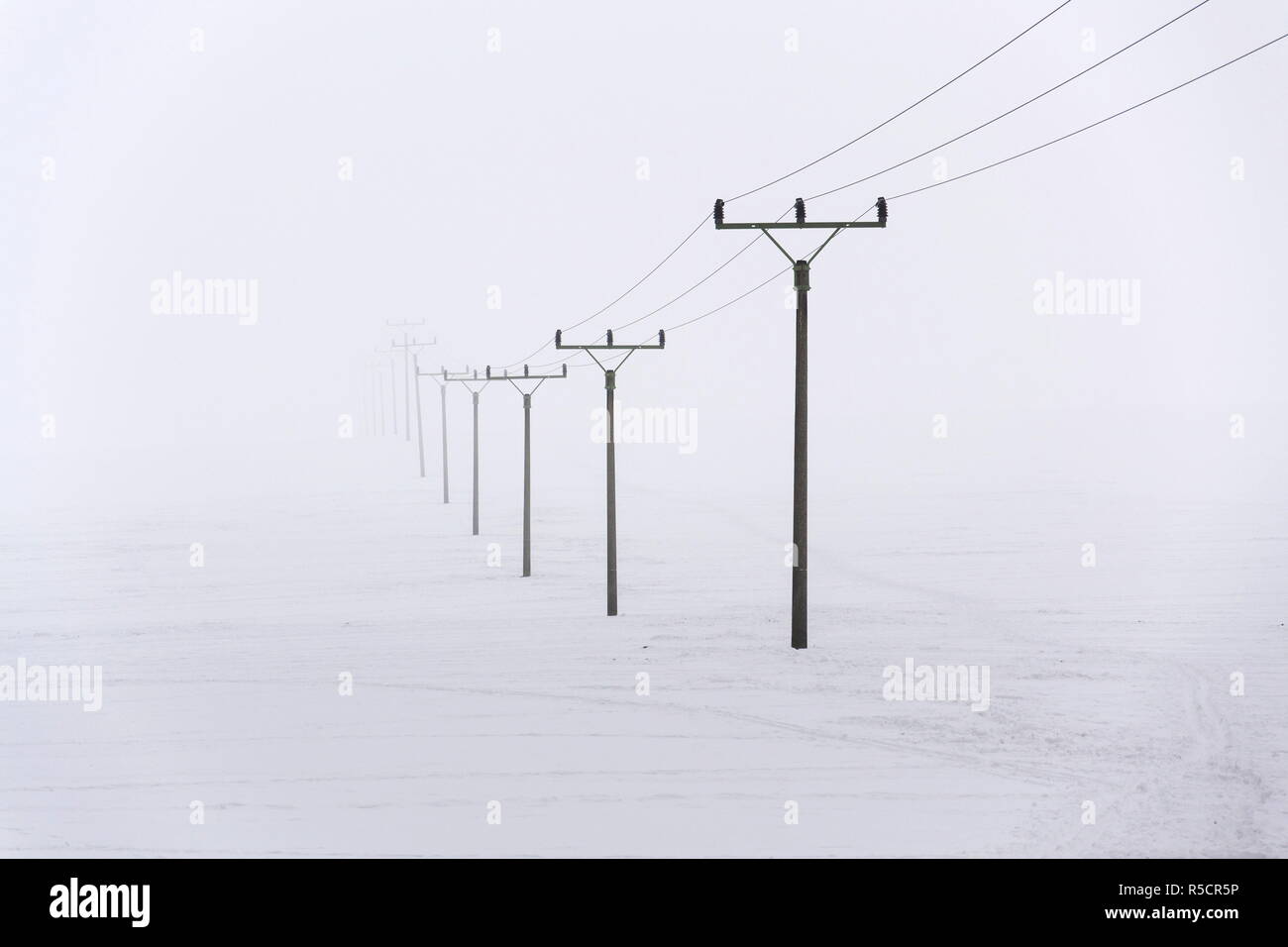 Electricity pylons from distribution power station disappearing in deep ...