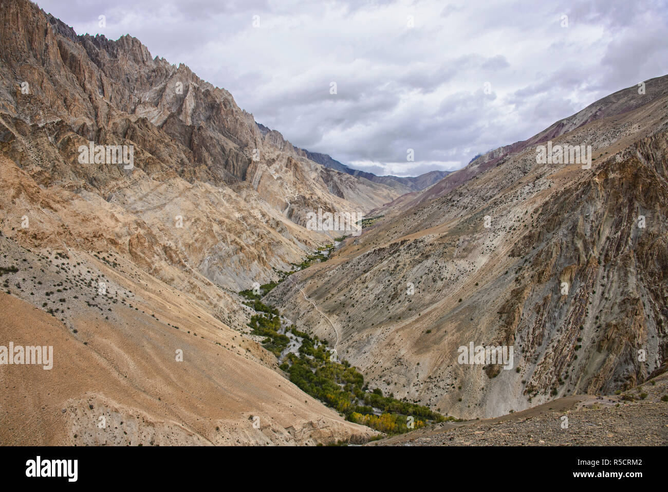 Trekking in the Zanskar Valley, Ladakh, India Stock Photo - Alamy