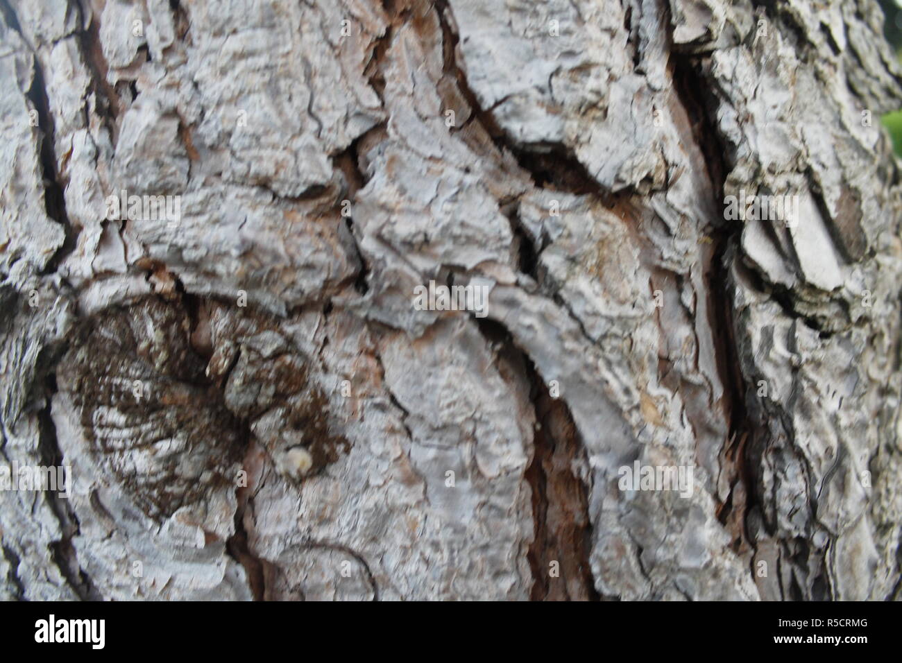 Abstract view old rotten hi-res stock photography and images - Alamy