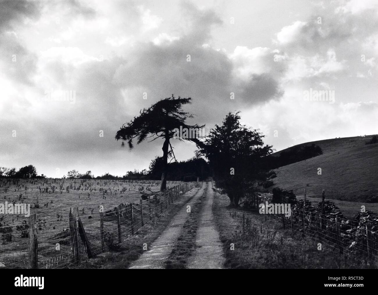 Roman Road, Ceiriog Drovers Roads, Wales. Roman Road, Ceiriog. Drovers ...