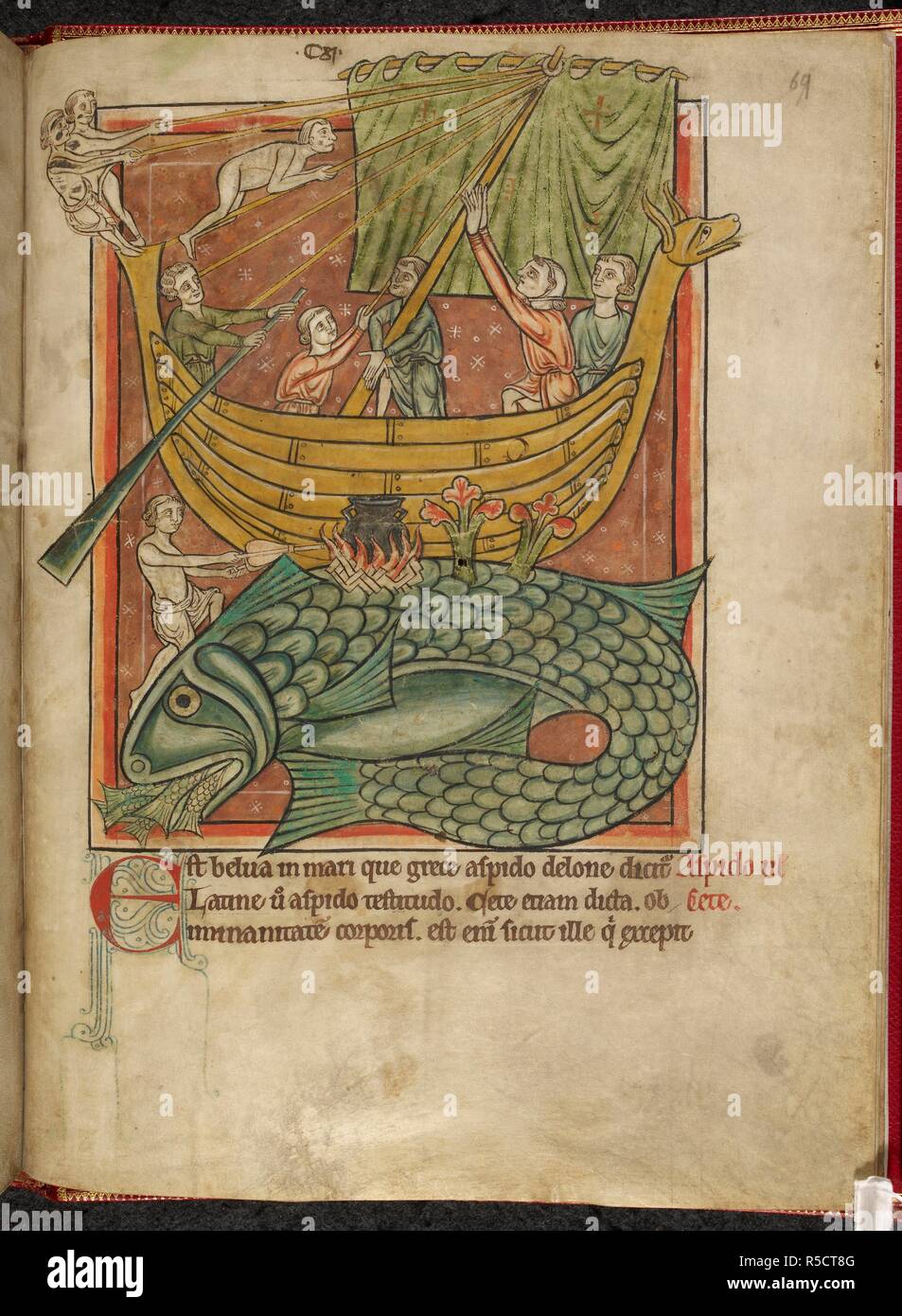 A large whale and a sailing boat, illustrating the text that a whale ...