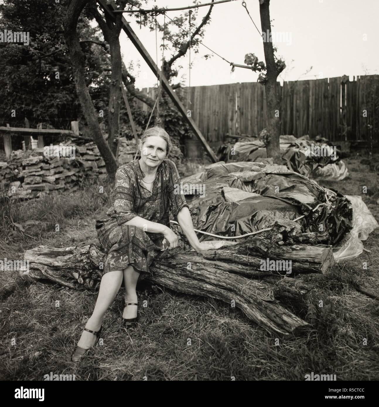 Doris Lessing 1982. Monochrome. Source: FG5436-2-4 Stock Photo - Alamy
