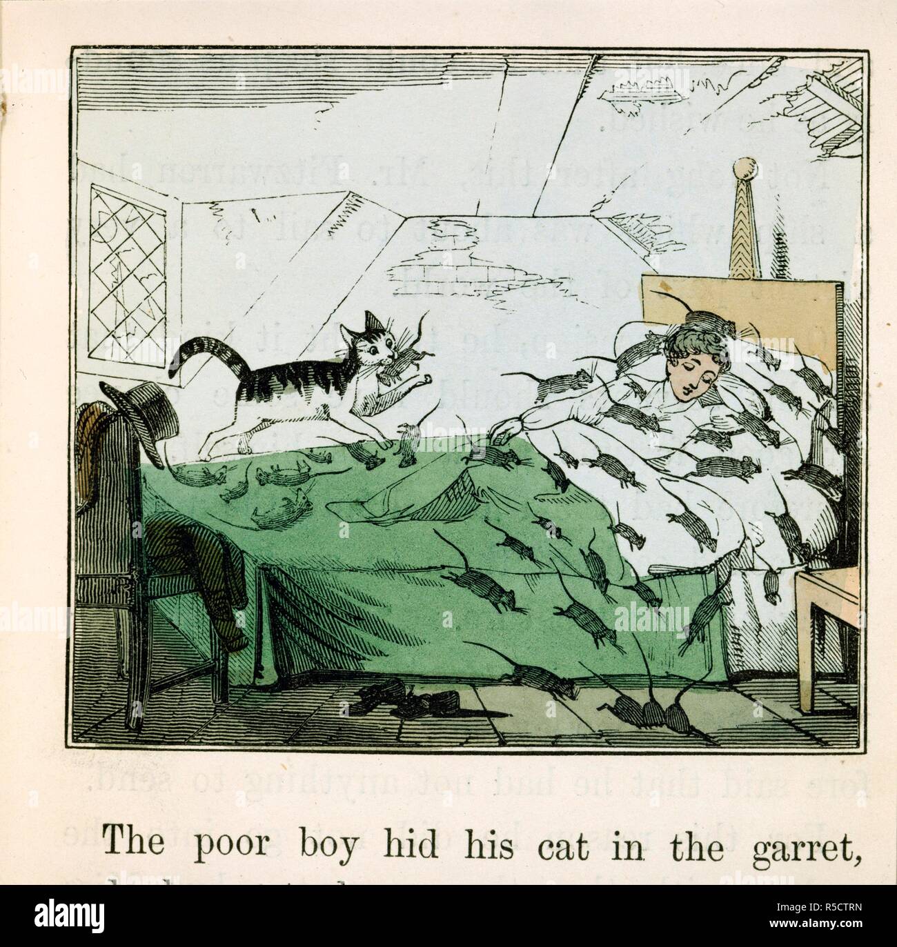 Boy chasing cat hi-res stock photography and images - Alamy