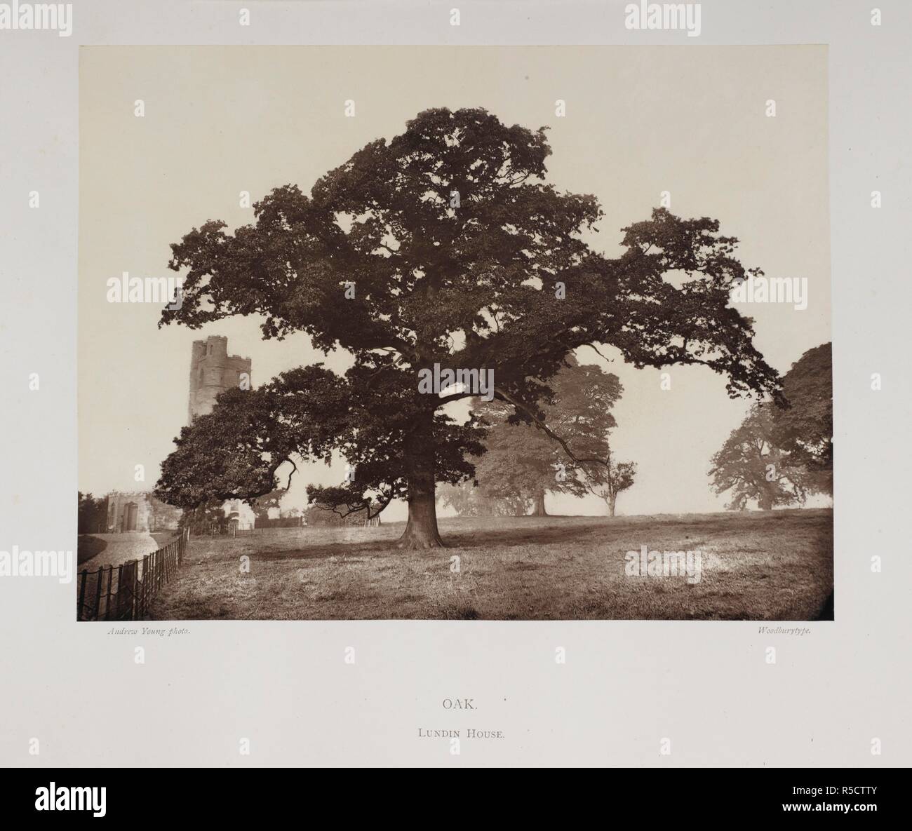 Hs timber hi-res stock photography and images - Alamy