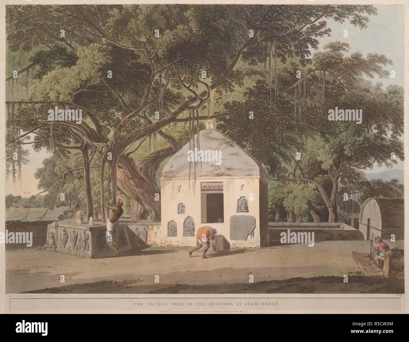 Akshaya vata hi-res stock photography and images - Alamy