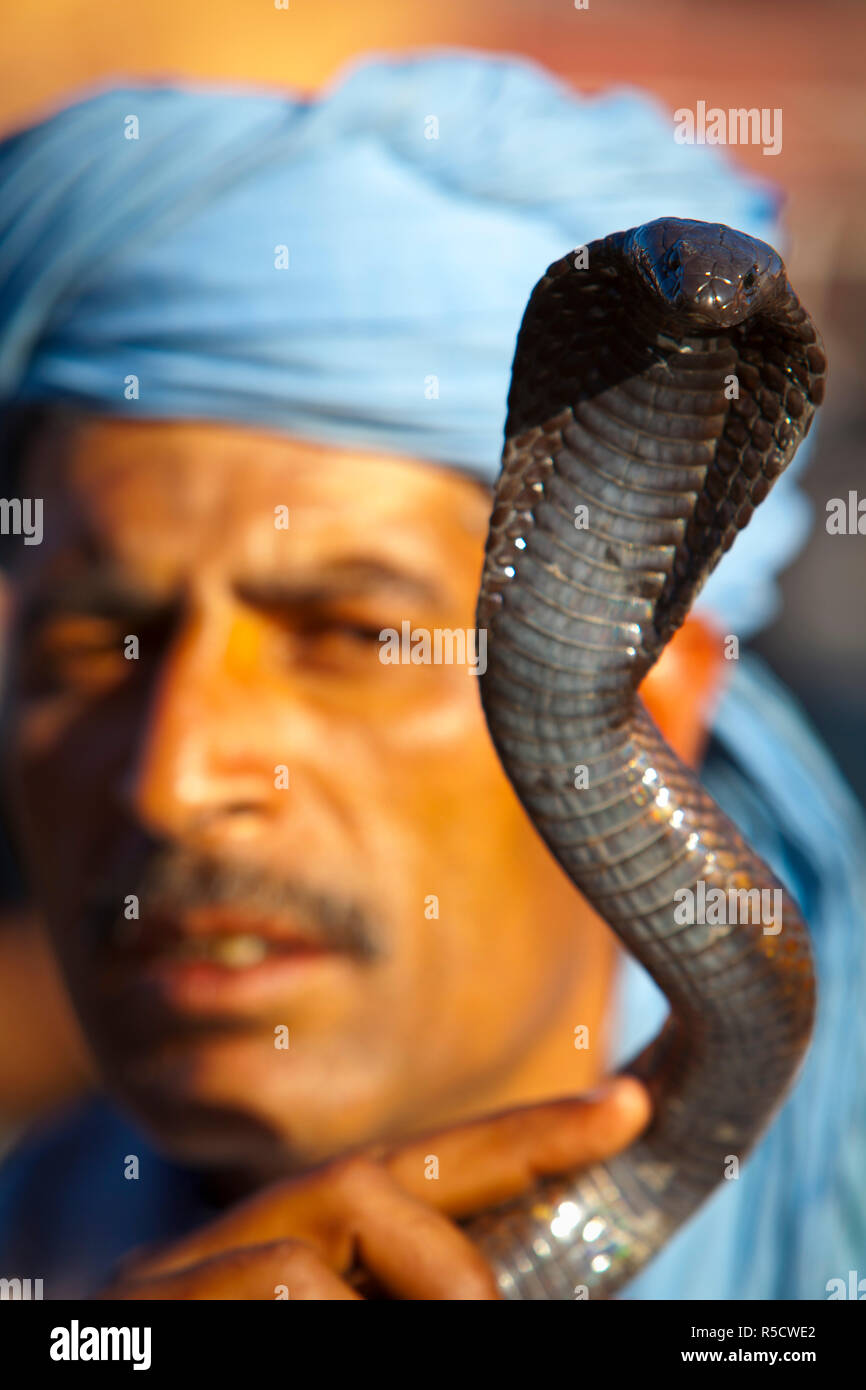 Marrakech medina snake hi-res stock photography and images - Alamy