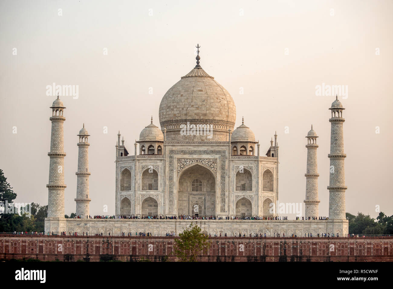 Mehtab bagh hi-res stock photography and images - Alamy