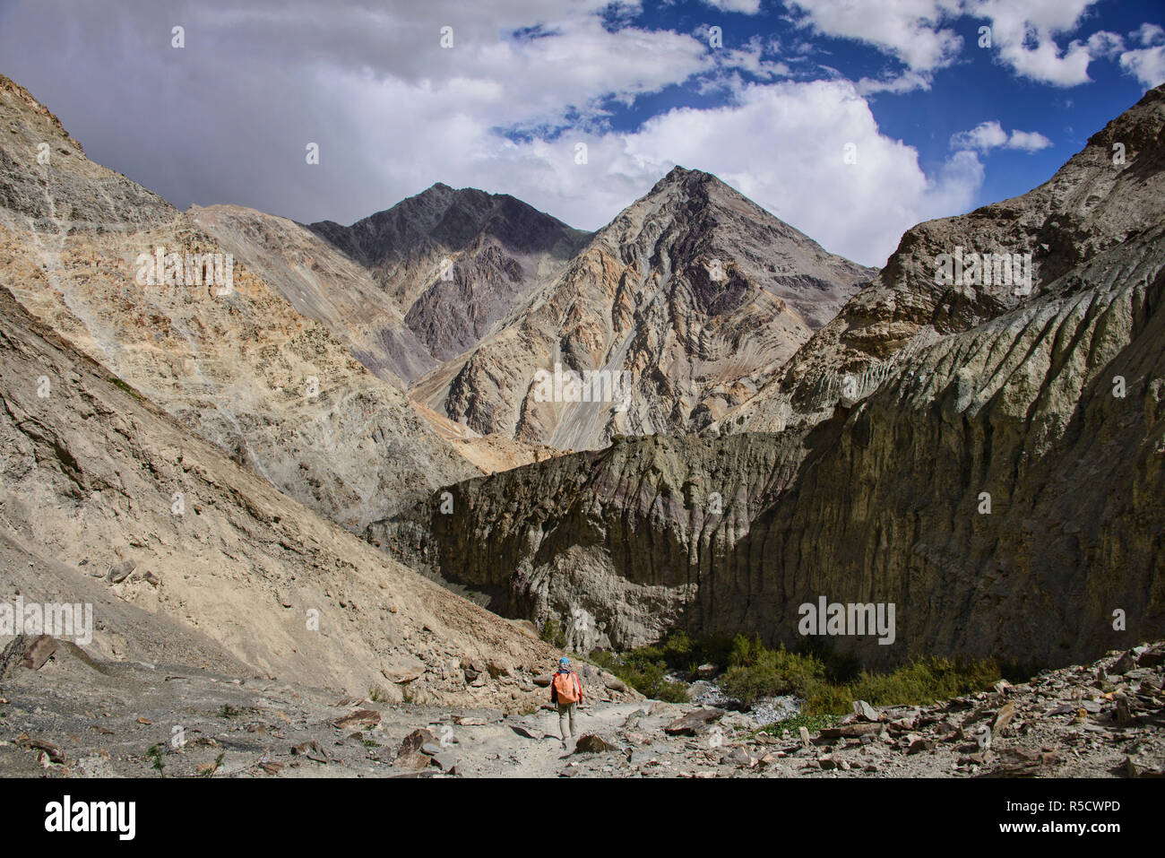Trekking in the Zanskar Valley, Ladakh, India Stock Photo - Alamy
