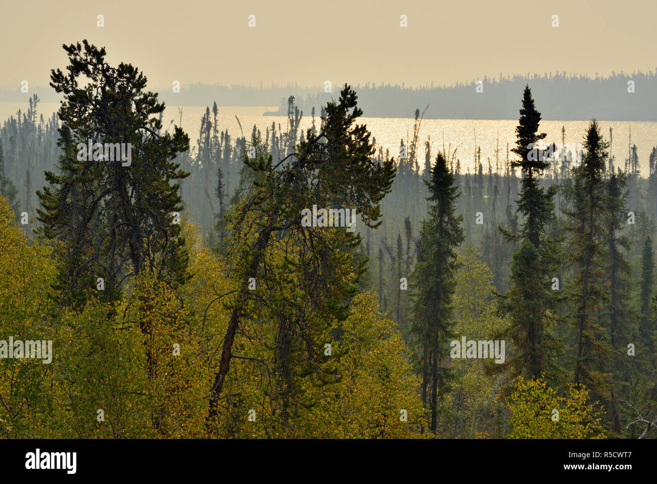 Overlooking Pontoon Lake in forest fire smog, Yellowknife, Ingraham ...