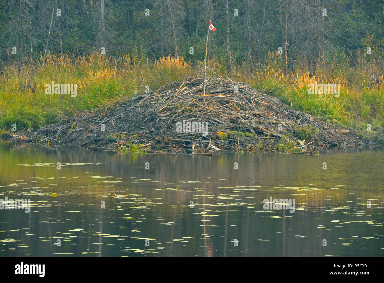 Northwest territories flag hi-res stock photography and images - Alamy