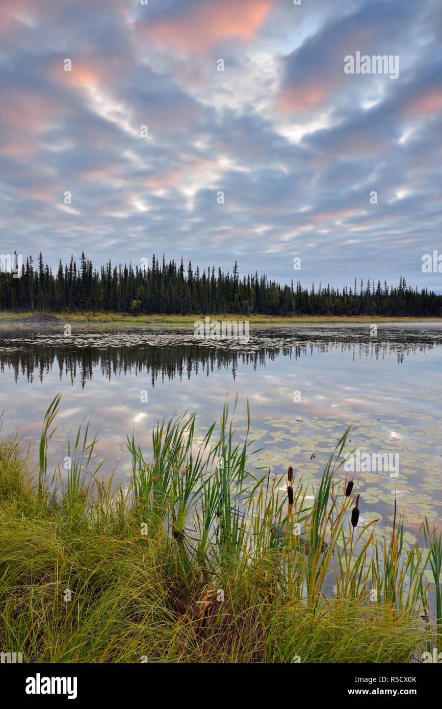 Yellowknife northwest territories hi-res stock photography and images ...