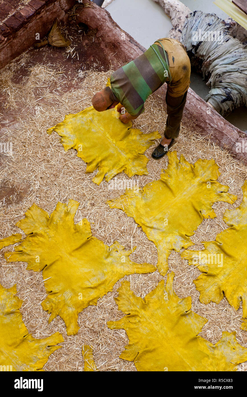 Drying leather, The tannery in Fez Morocco Stock Photo - Alamy