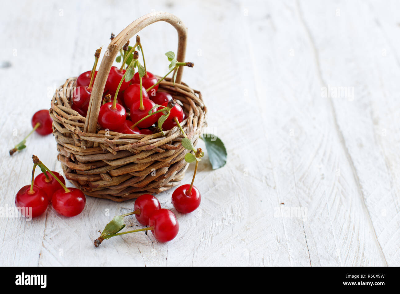 Fresh sour cherries Stock Photo - Alamy