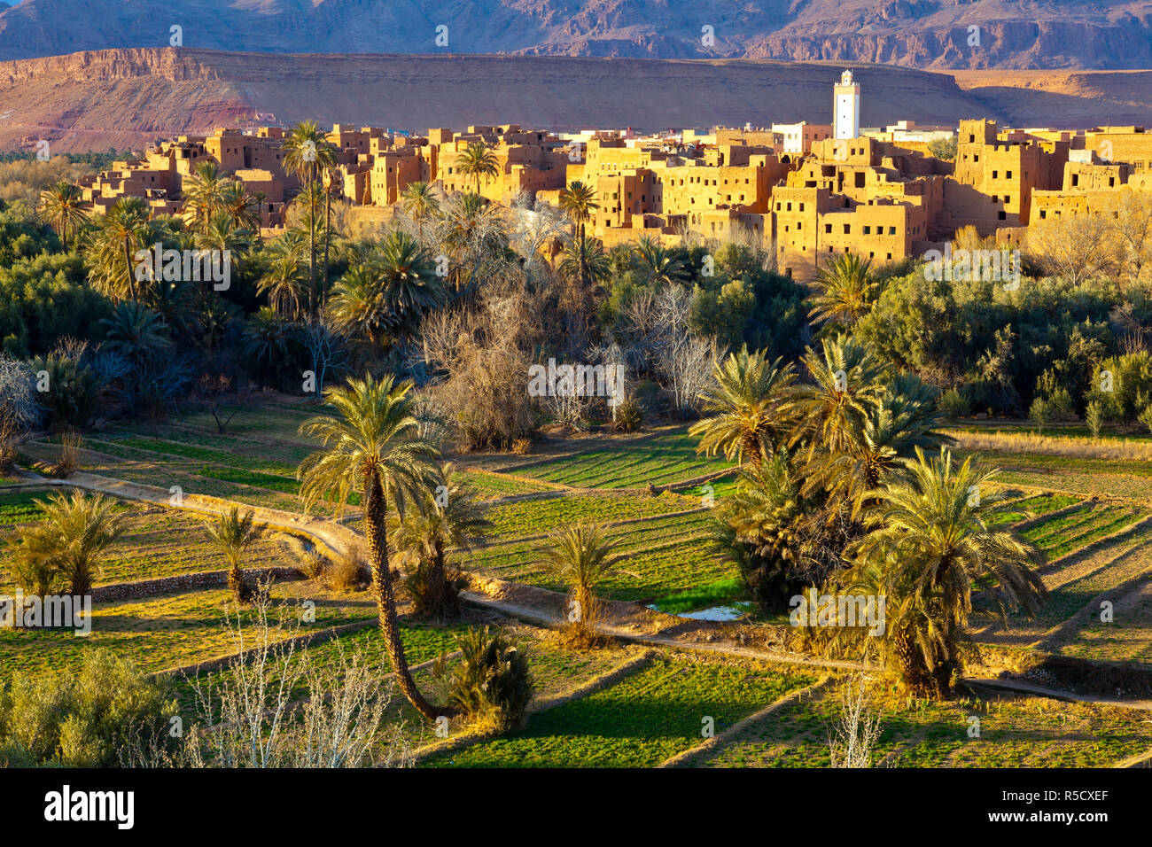 Tinghir morocco mountains hi-res stock photography and images - Alamy