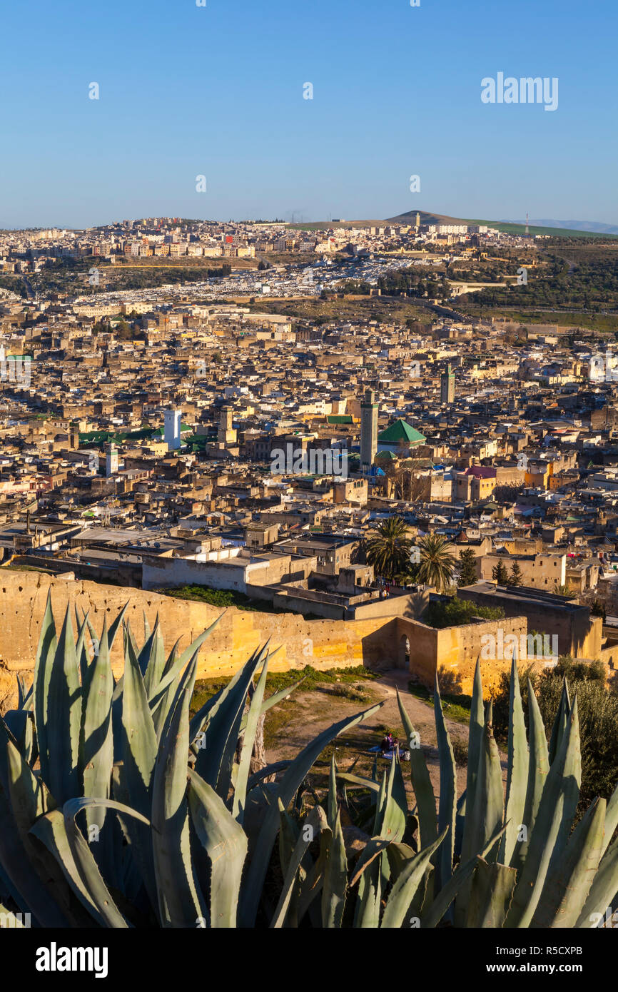 Elevated view across the Old Medina of Fes, Fes, Morocco Stock Photo ...