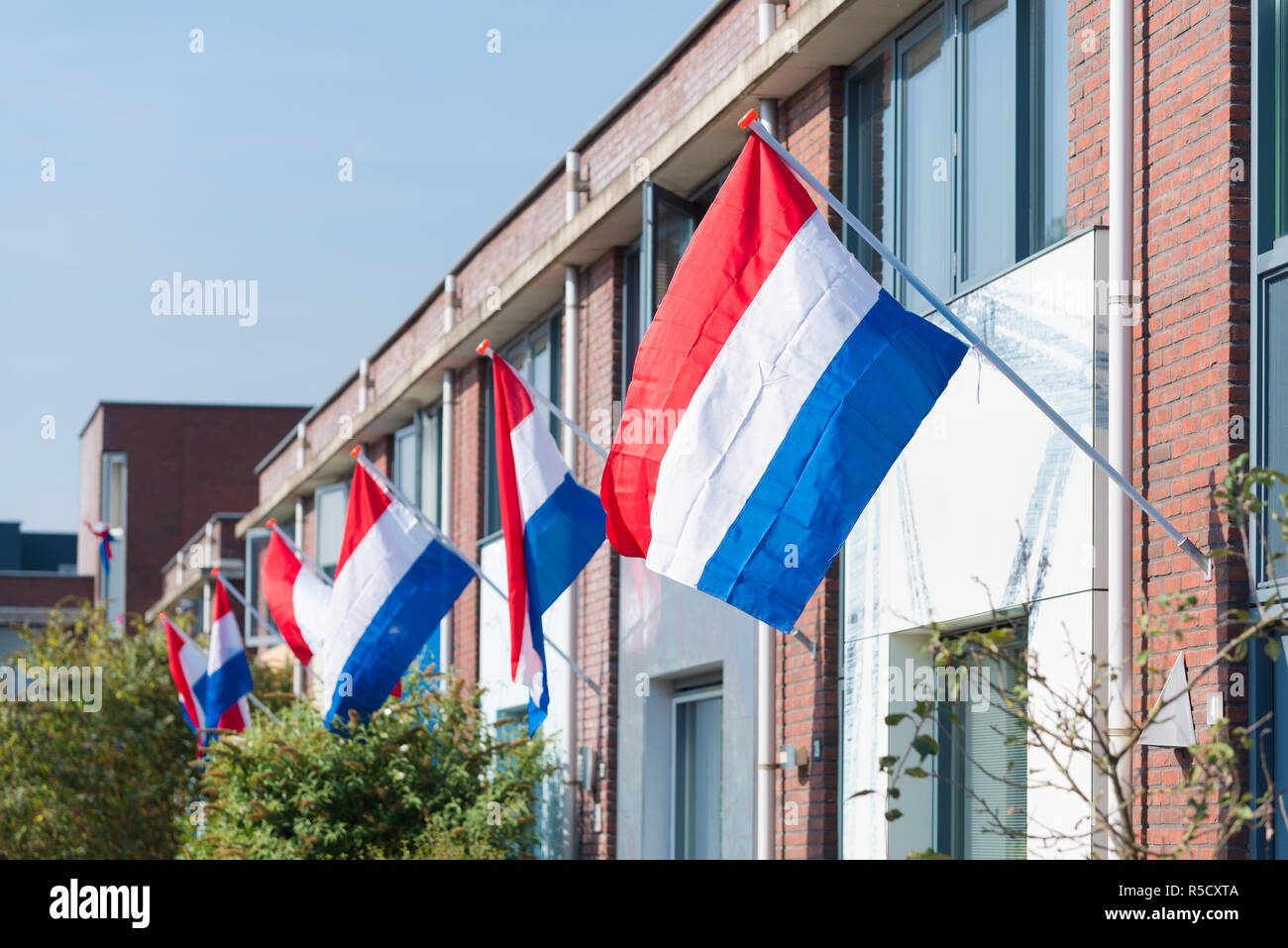 Many dutch flags hi-res stock photography and images - Alamy
