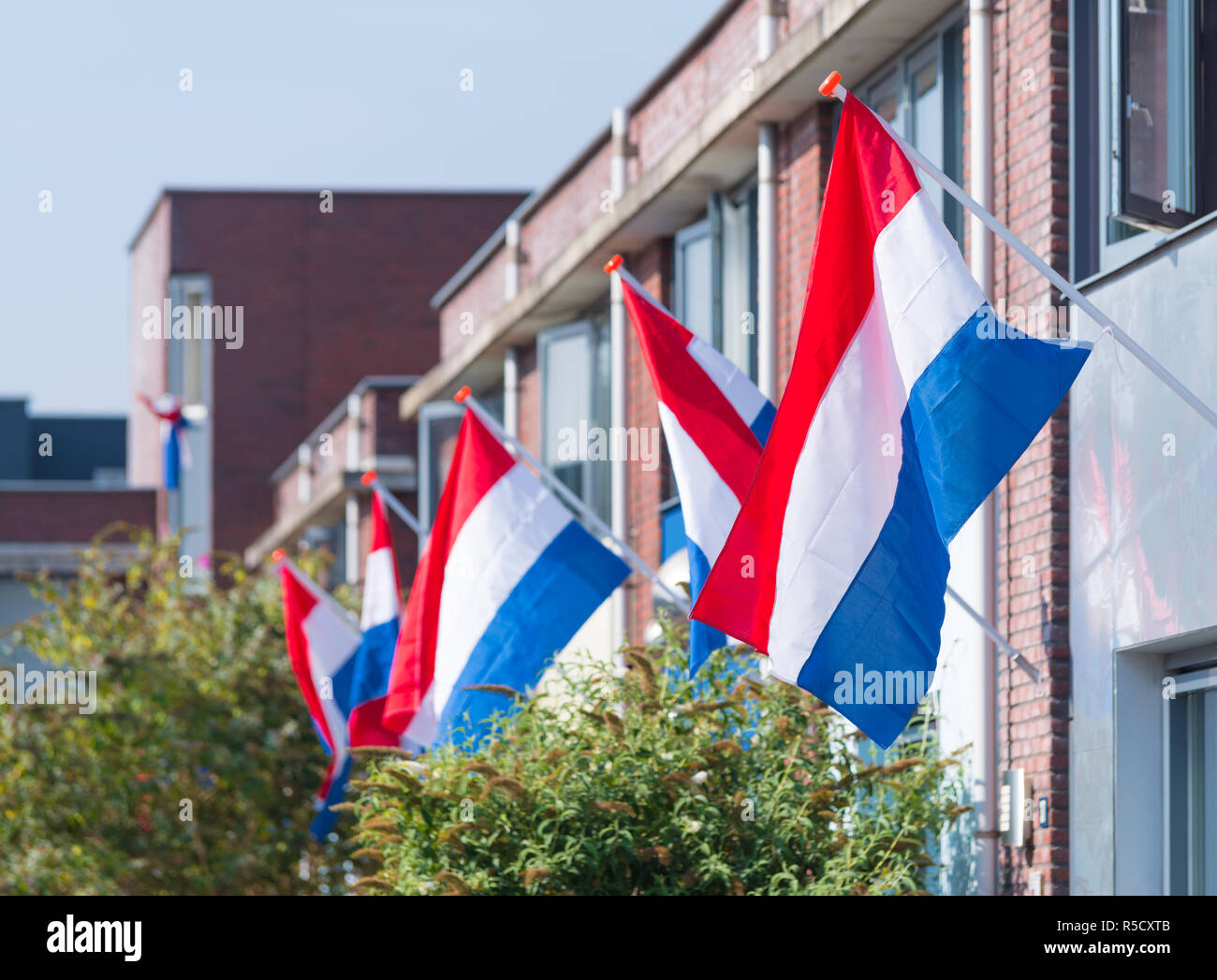 Many dutch flags hi-res stock photography and images - Alamy