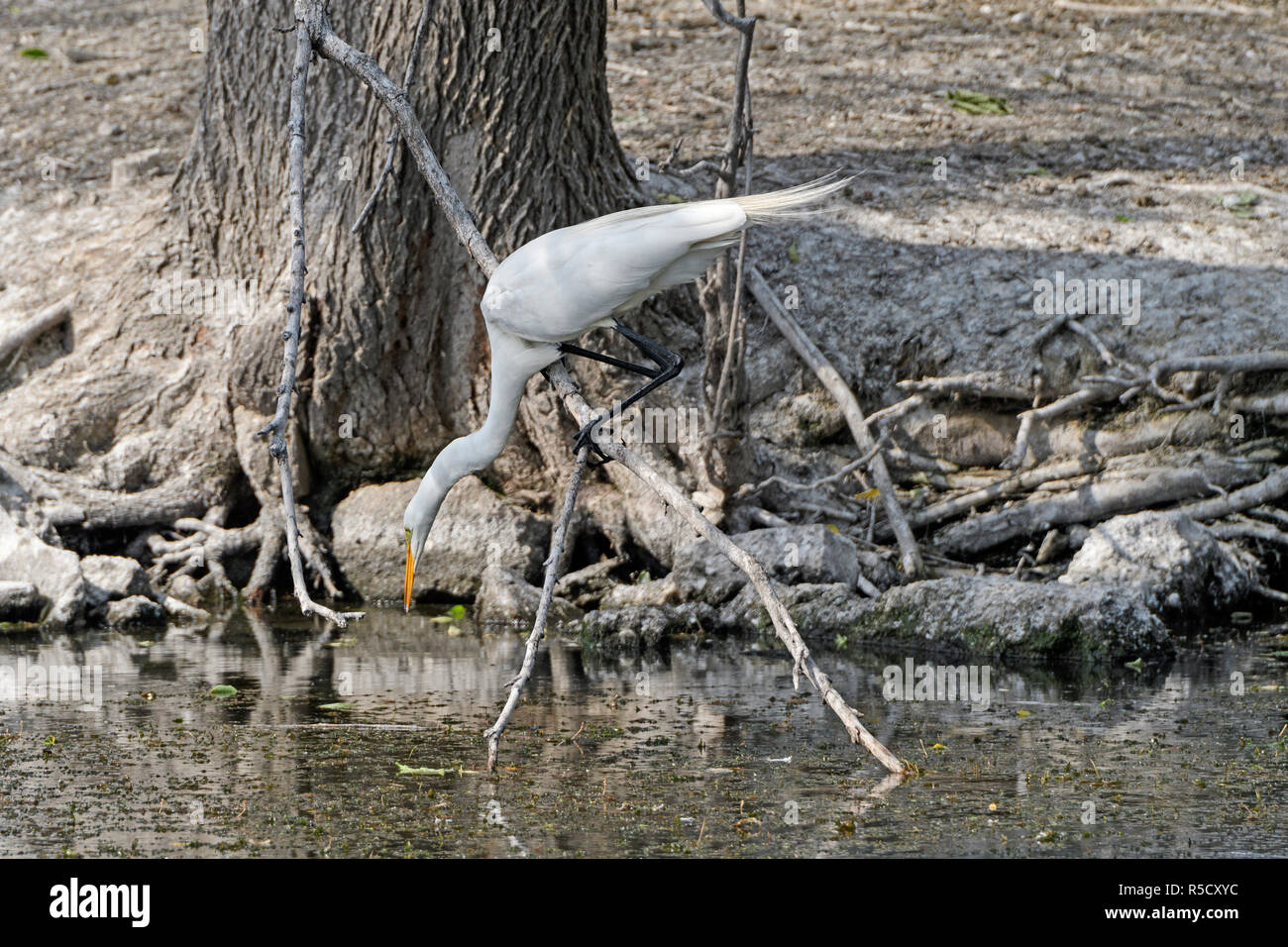 Fergus falls hi-res stock photography and images - Alamy