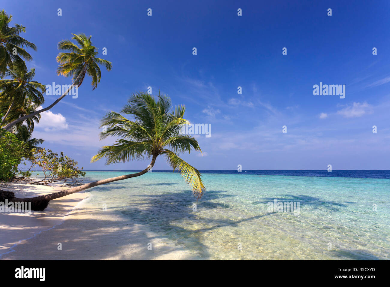 Maldives, Faafu Atoll, Filitheyo Island Stock Photo - Alamy
