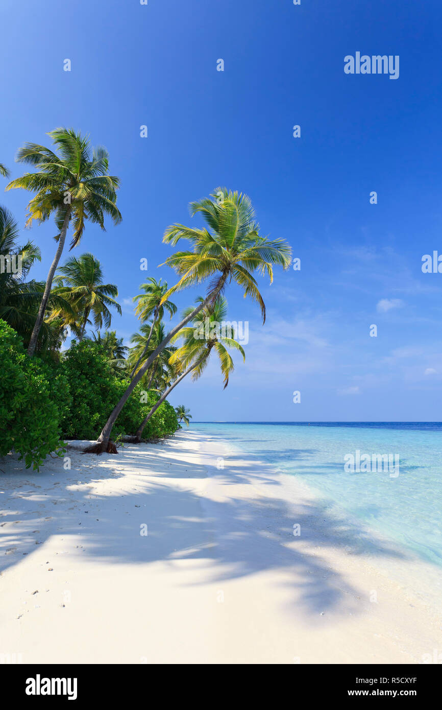 Maldives, Faafu Atoll, Filitheyo Island Stock Photo - Alamy